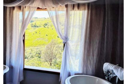 iNsingizi Lodge and Spa - ZA Town